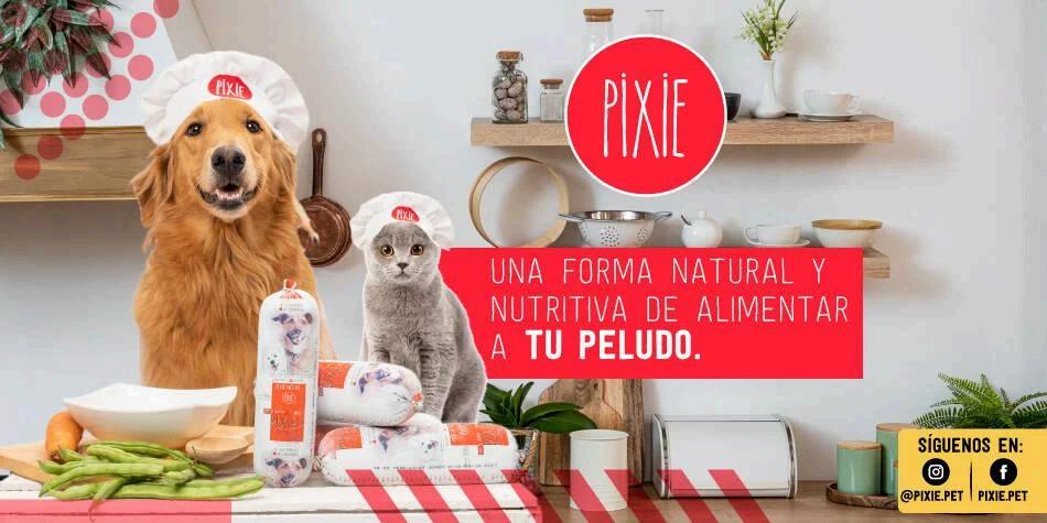 INFORME EMPRESARIAL DE PIXIE PETS by Karen Olarte - Issuu