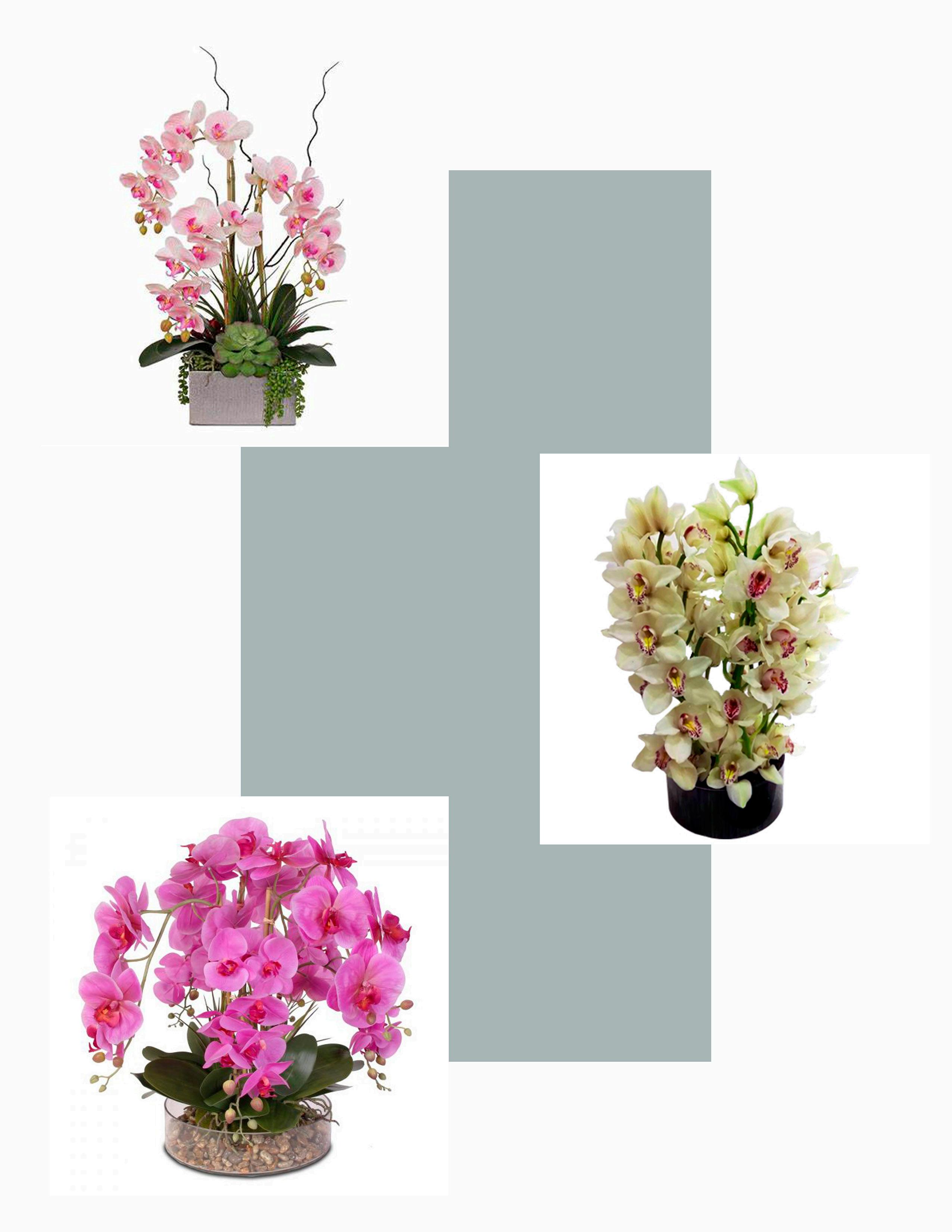 Catalogo QUIDEAS by Sonia Alexandra Mercado Alfaro - Issuu