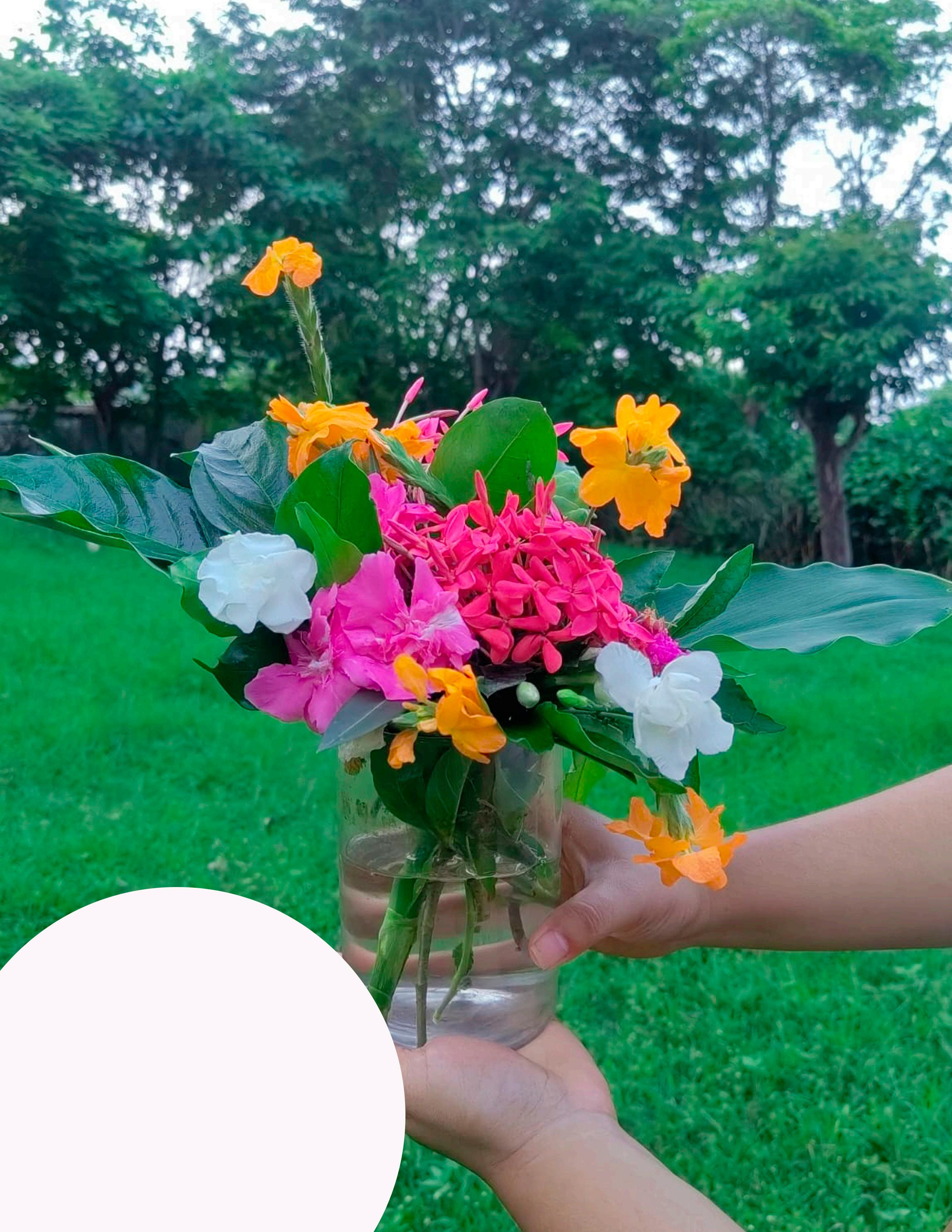 Catalogo QUIDEAS, Sonia Alexandra Mercado Alfaro by Sonia Alexandra ...