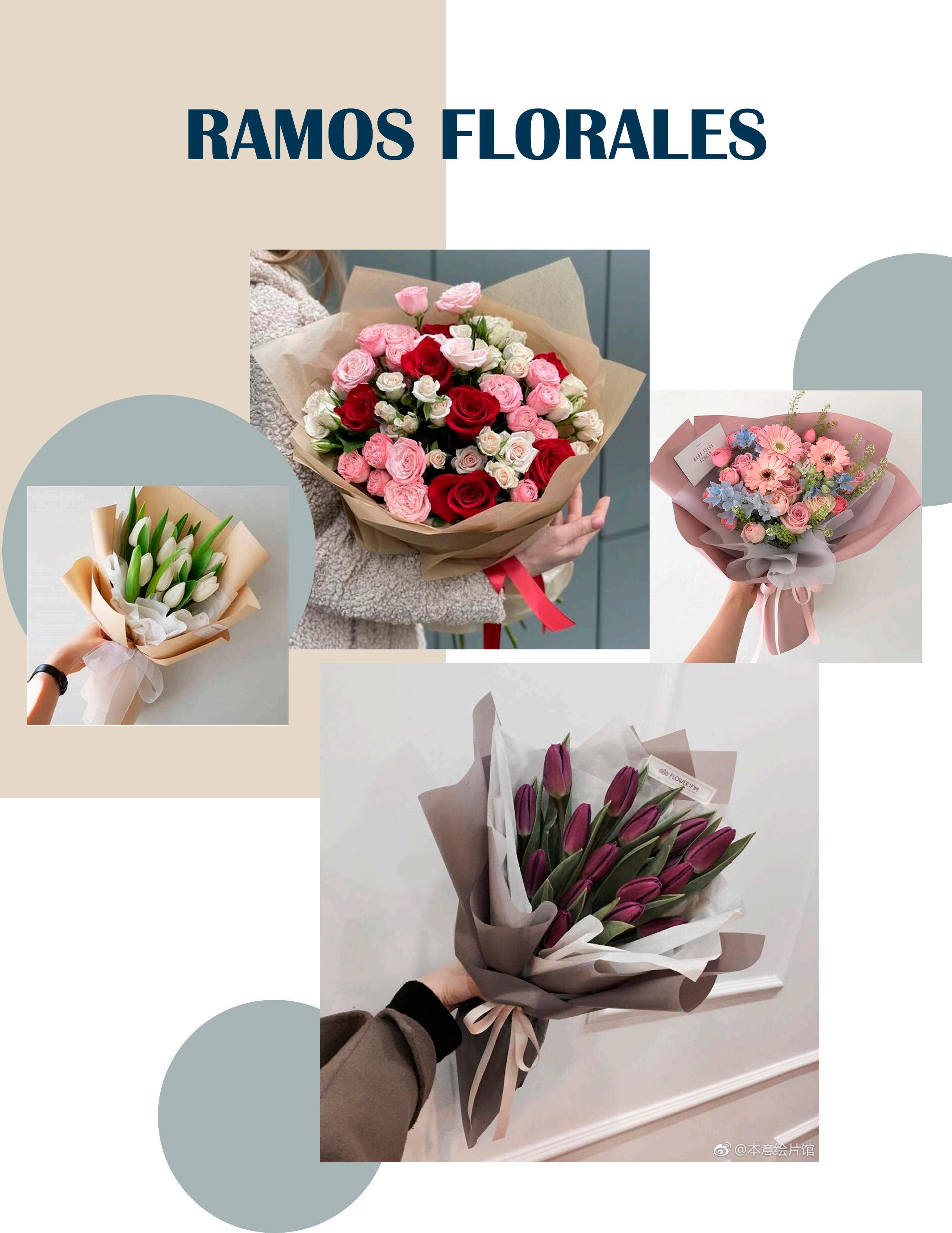 Catalogo QUIDEAS, Sonia Alexandra Mercado Alfaro by Sonia Alexandra ...