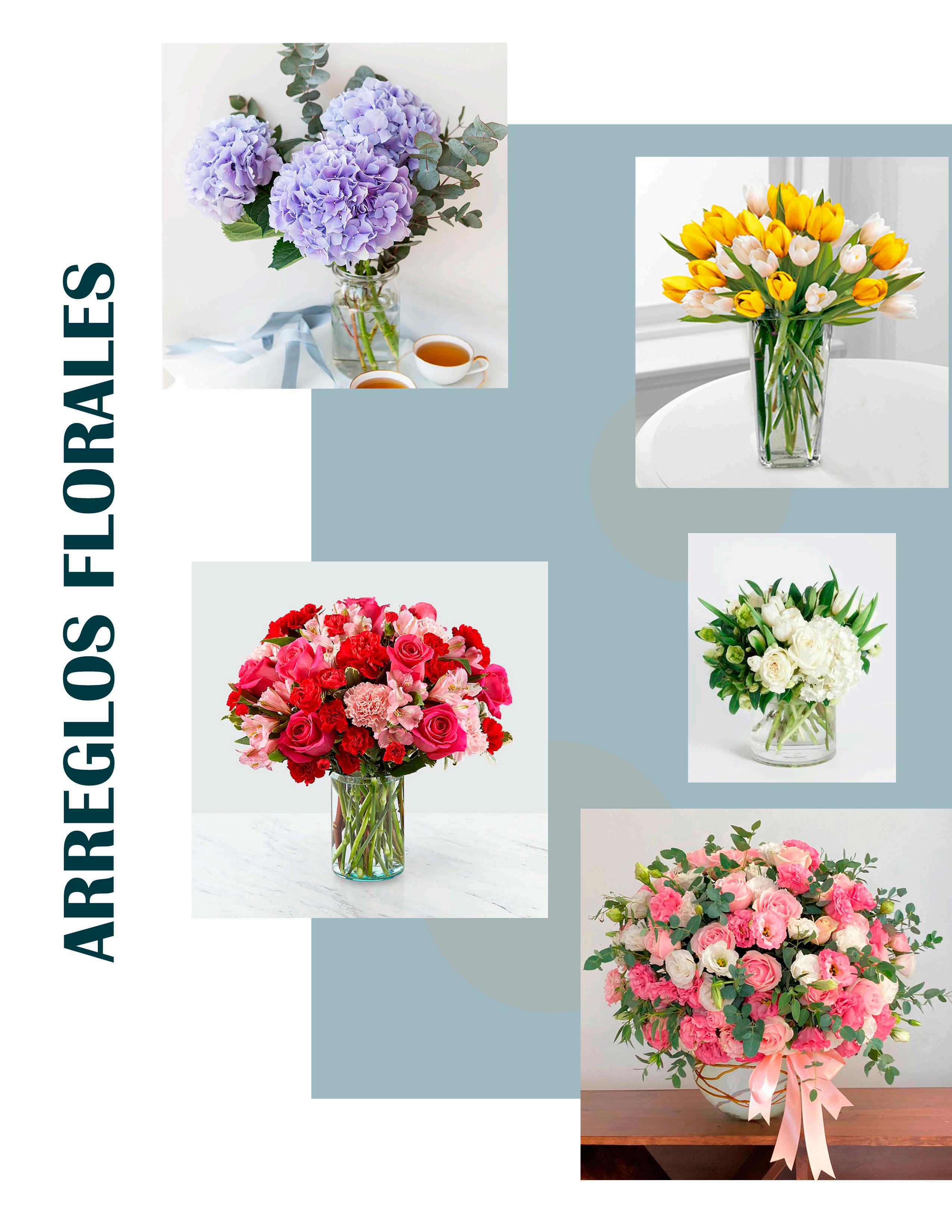 Catalogo QUIDEAS, Sonia Alexandra Mercado Alfaro by Sonia Alexandra ...