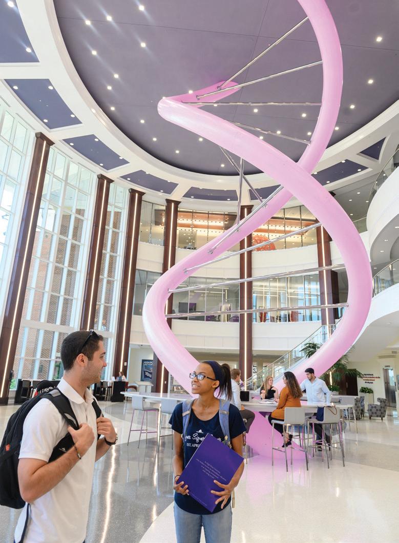 Comprehensive Career Guide by High Point University - Issuu