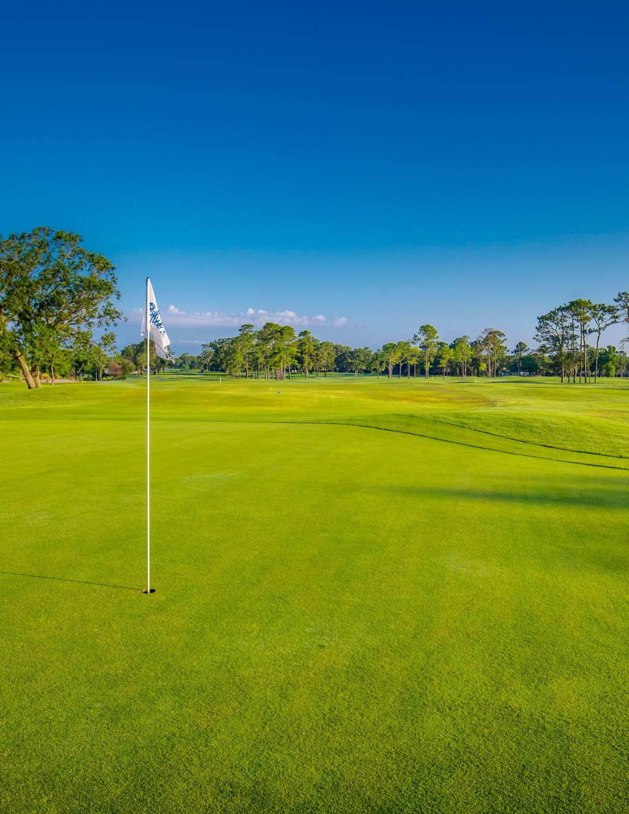 BS - 2024 Membership Offerings by HGMarketing - Issuu