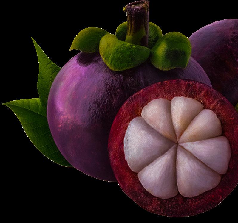 The Summit_Secondary English_Mangagoy NHS_Bislig City by Brenth Neolms ...