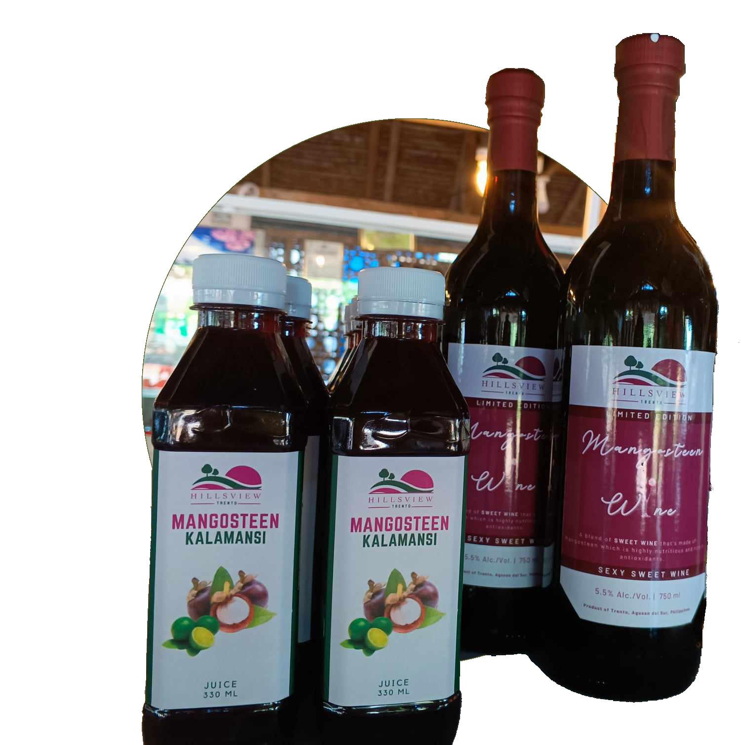 The Summit_Secondary English_Mangagoy NHS_Bislig City by Brenth Neolms ...