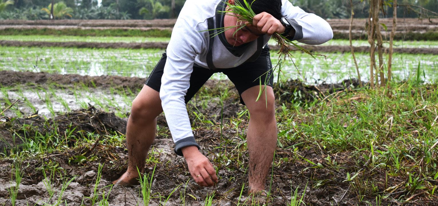 The Summit_Secondary English_Mangagoy NHS_Bislig City by Brenth Neolms ...