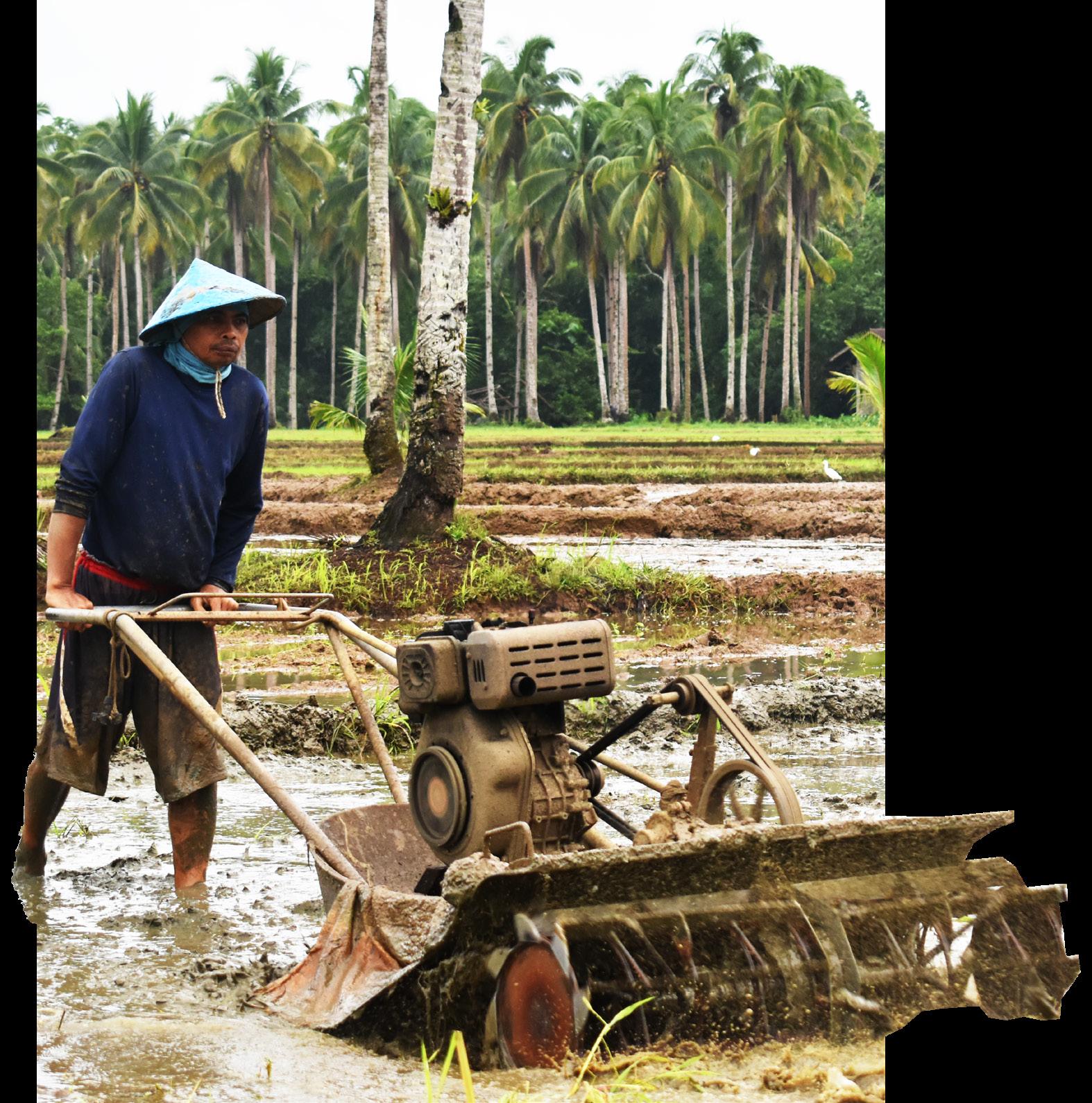 The Summit_Secondary English_Mangagoy NHS_Bislig City by Brenth Neolms ...
