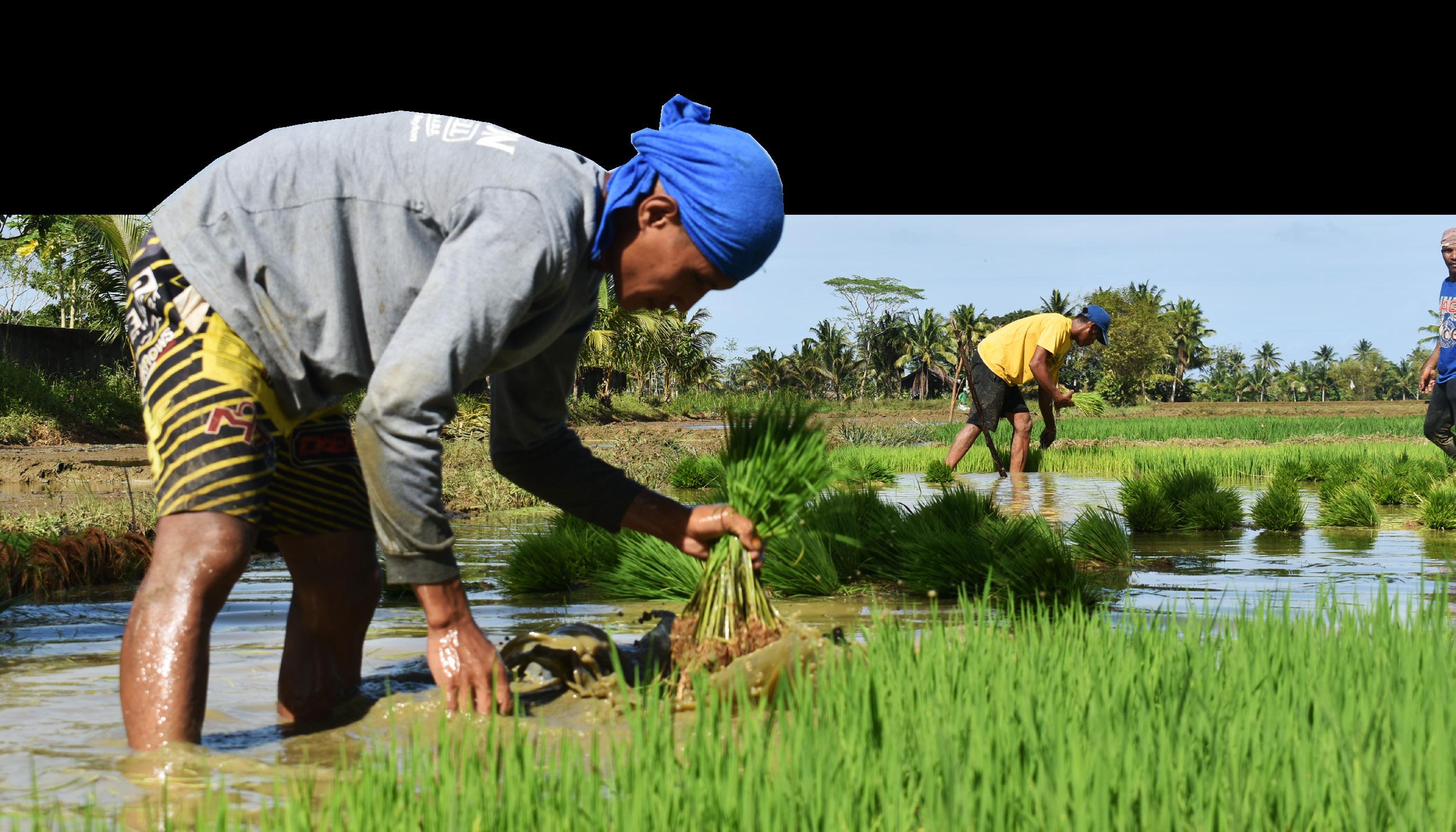 The Summit_Secondary English_Mangagoy NHS_Bislig City by Brenth Neolms ...