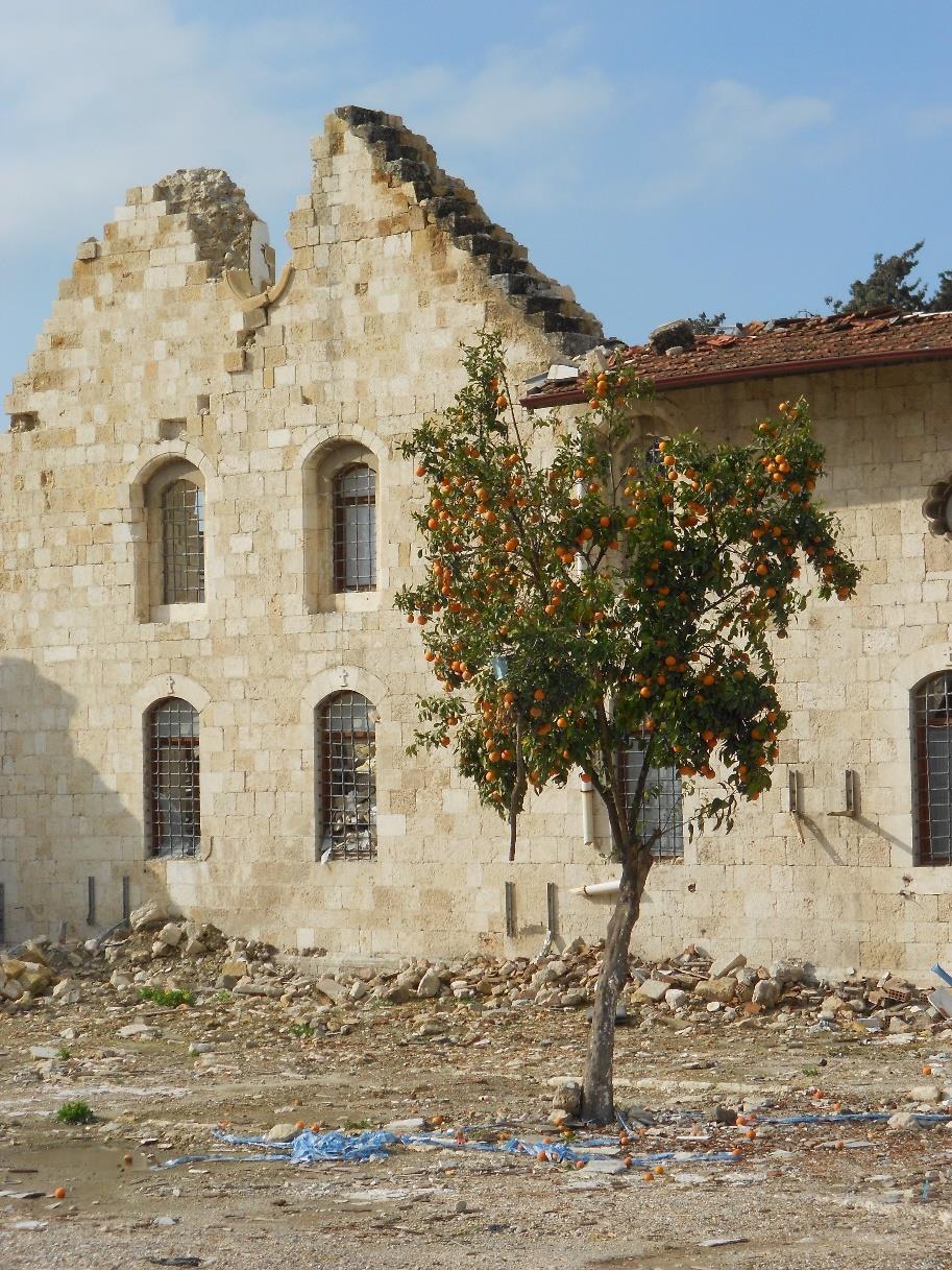 500-year cycle of extreme earthquakes in South-Eastern Turkey by melis ...