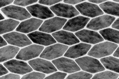 Works by Eli Dunbar by Eli Dunbar - Issuu