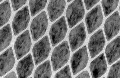 Works by Eli Dunbar by Eli Dunbar - Issuu