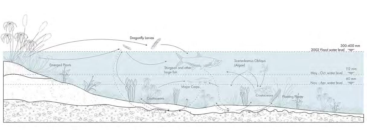 Mariela Perpelova | Architecture Portfolio | 2024 by marielaprpl - Issuu