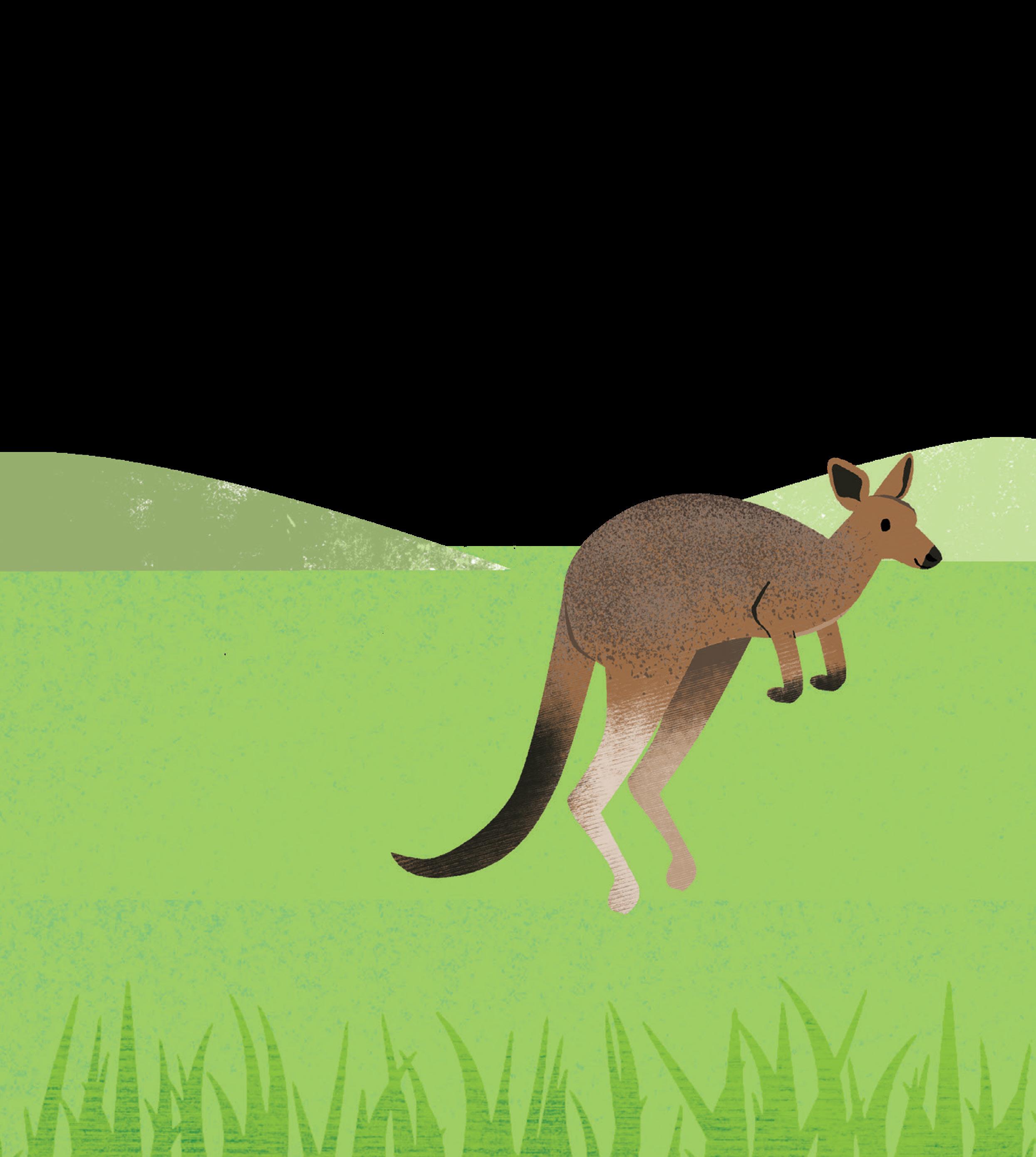 OUP_ELSA Evaluation Pack by OUPANZ - Issuu