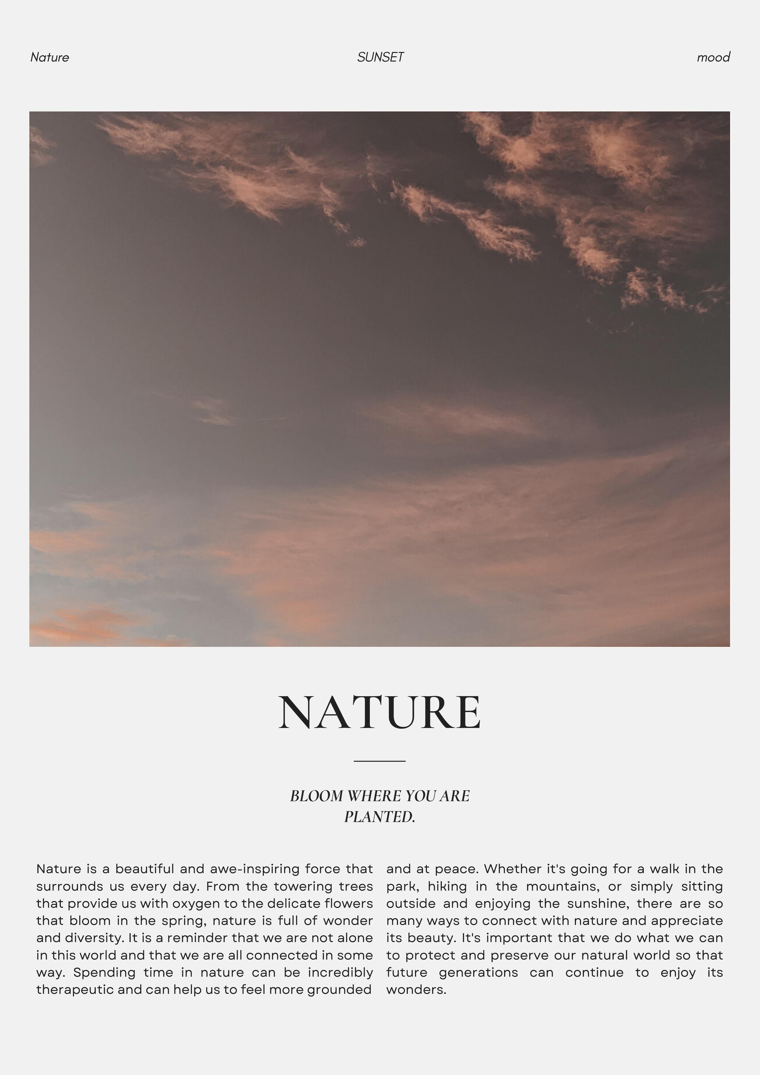 Beige Aesthetic Modern Simple Minimalist Magazine by Aleksandra Chubar ...