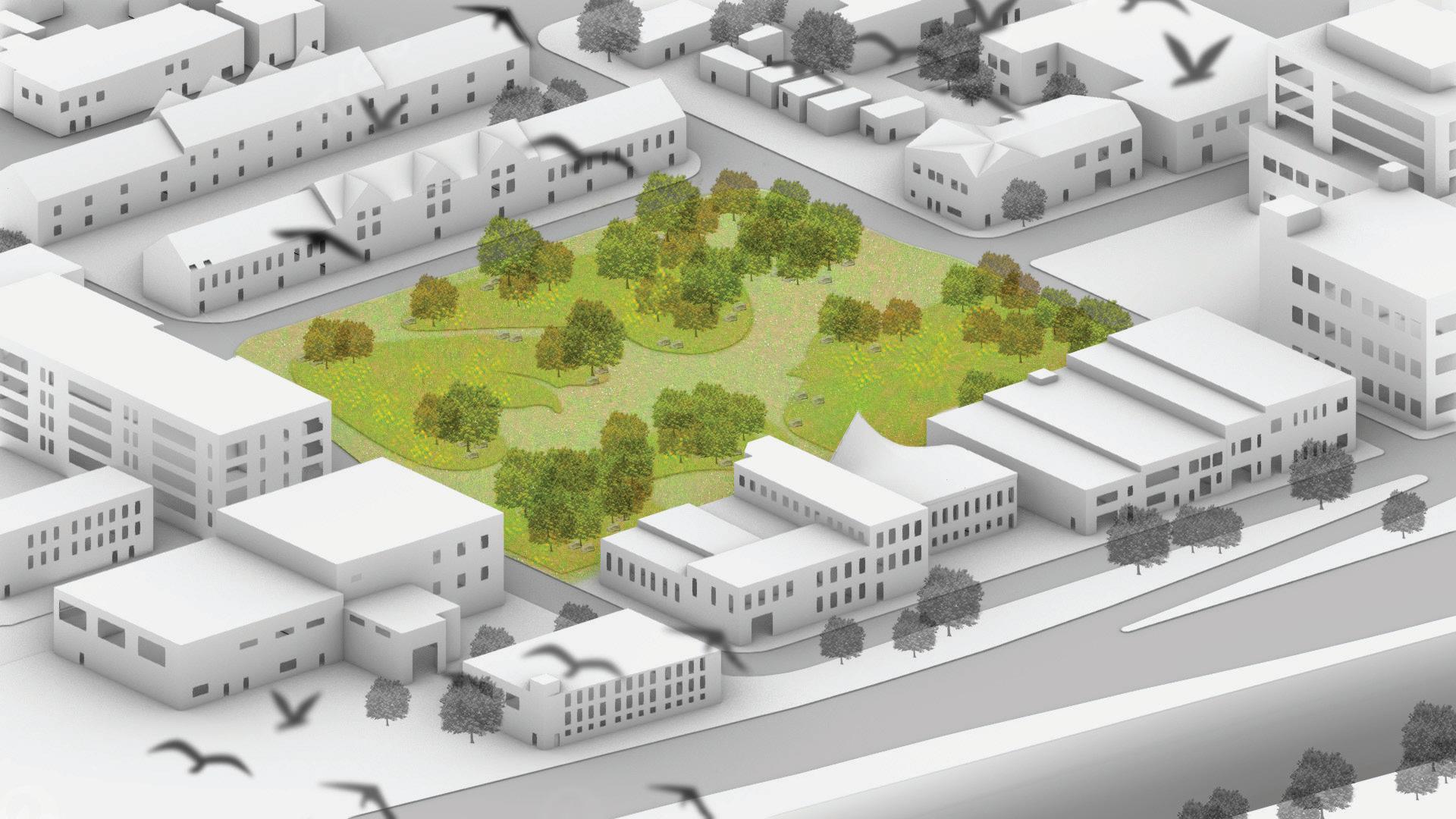 Isaac Duong, portfolio (Waterloo 2024) by IDportfolio - Issuu