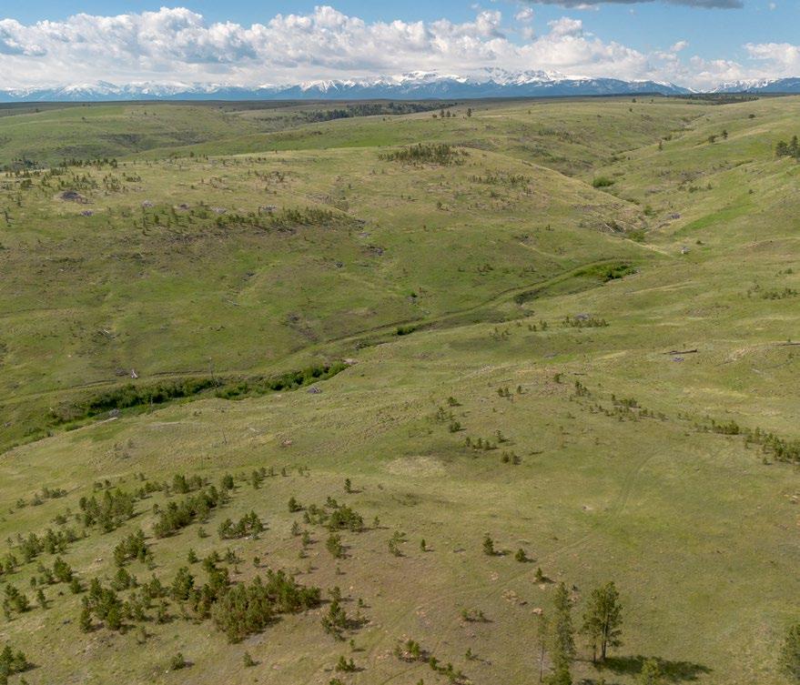 Noon Bear Ranch | Fay Ranches by Fay Ranches - Issuu