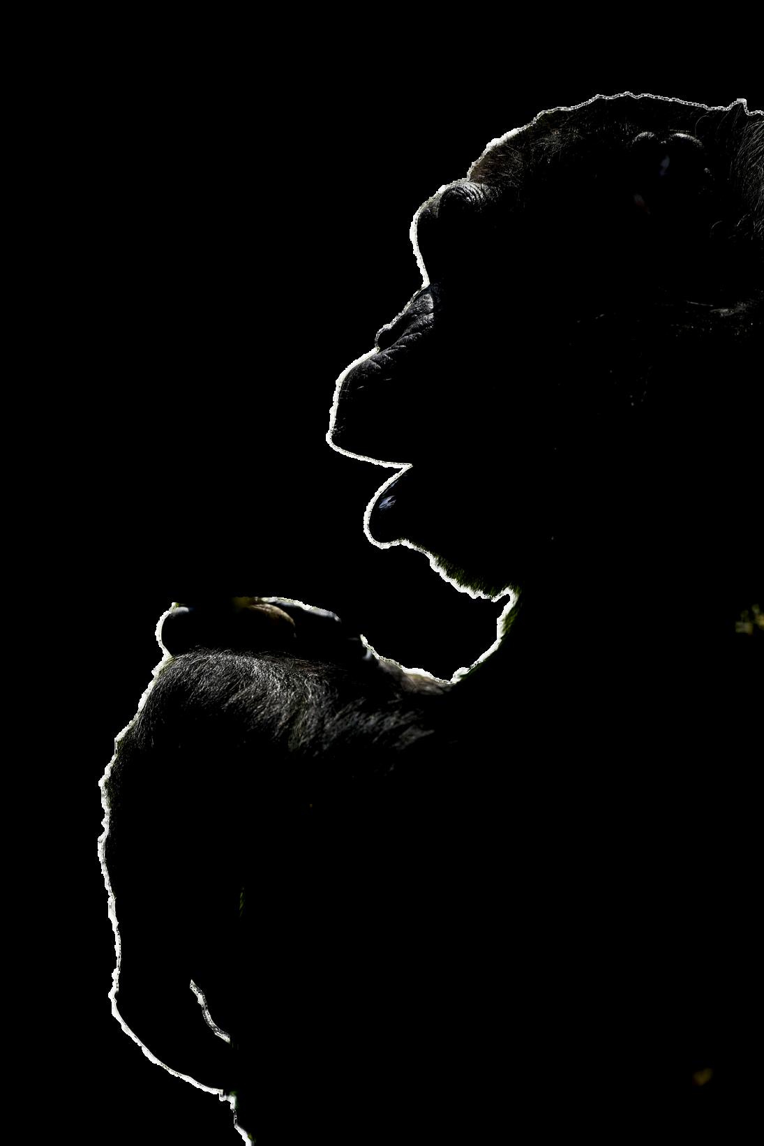 Maddison's Portfolio by Maddie Martin - Issuu