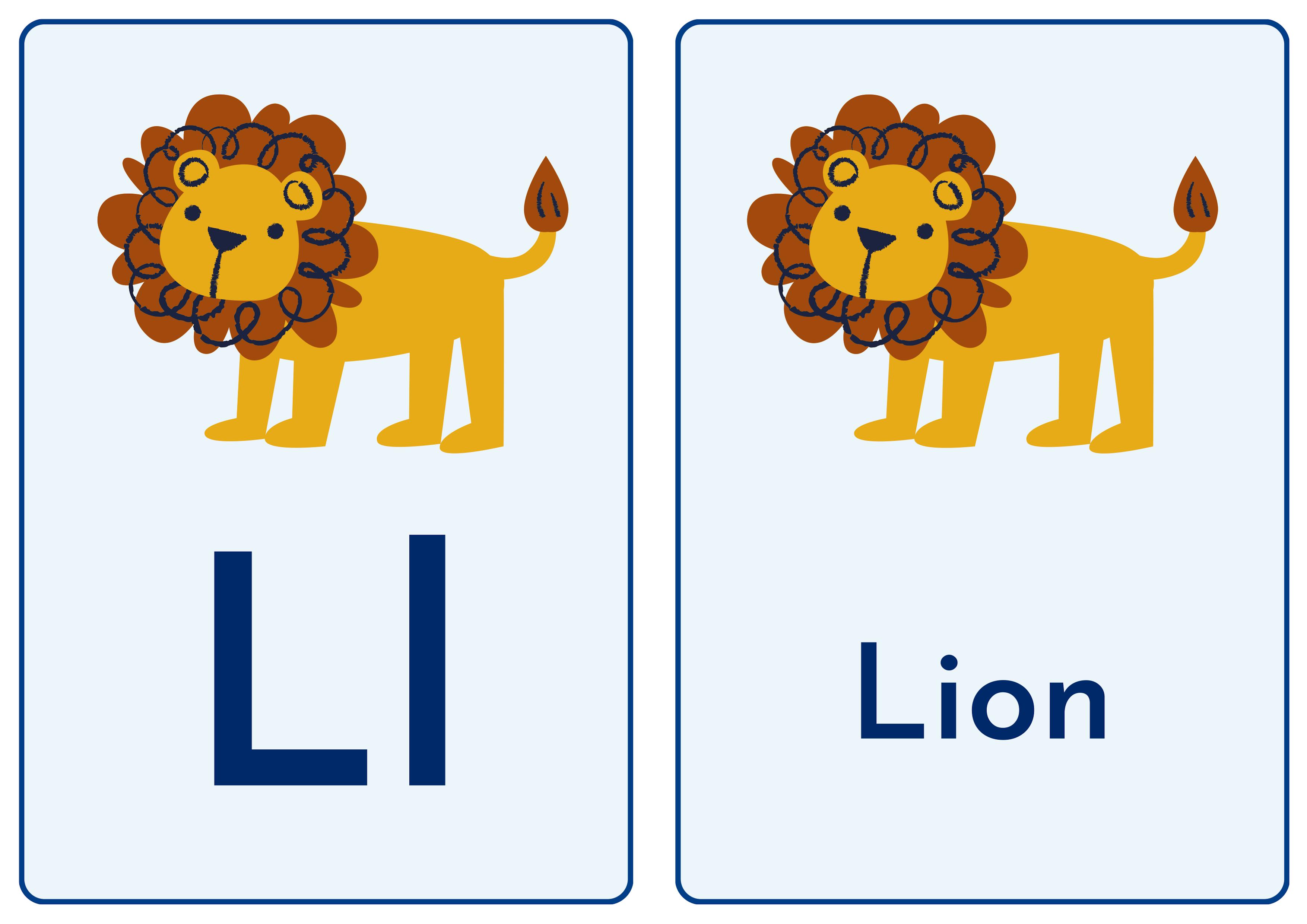 Flashcard by Faten Aremkhan - Issuu