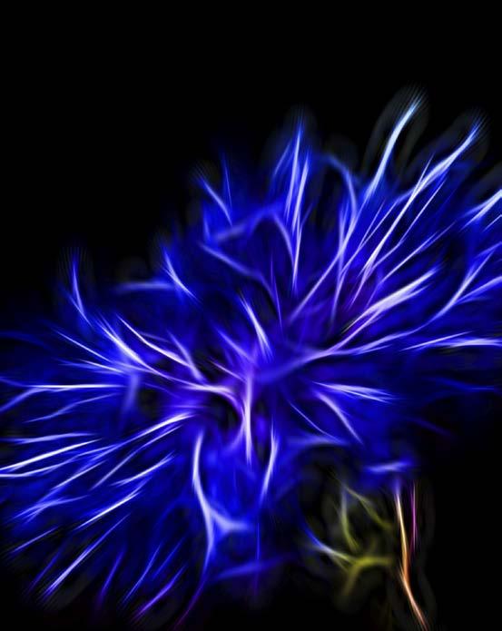 The Cornflower - Winter 2024 Edition by MND Queensland - Issuu