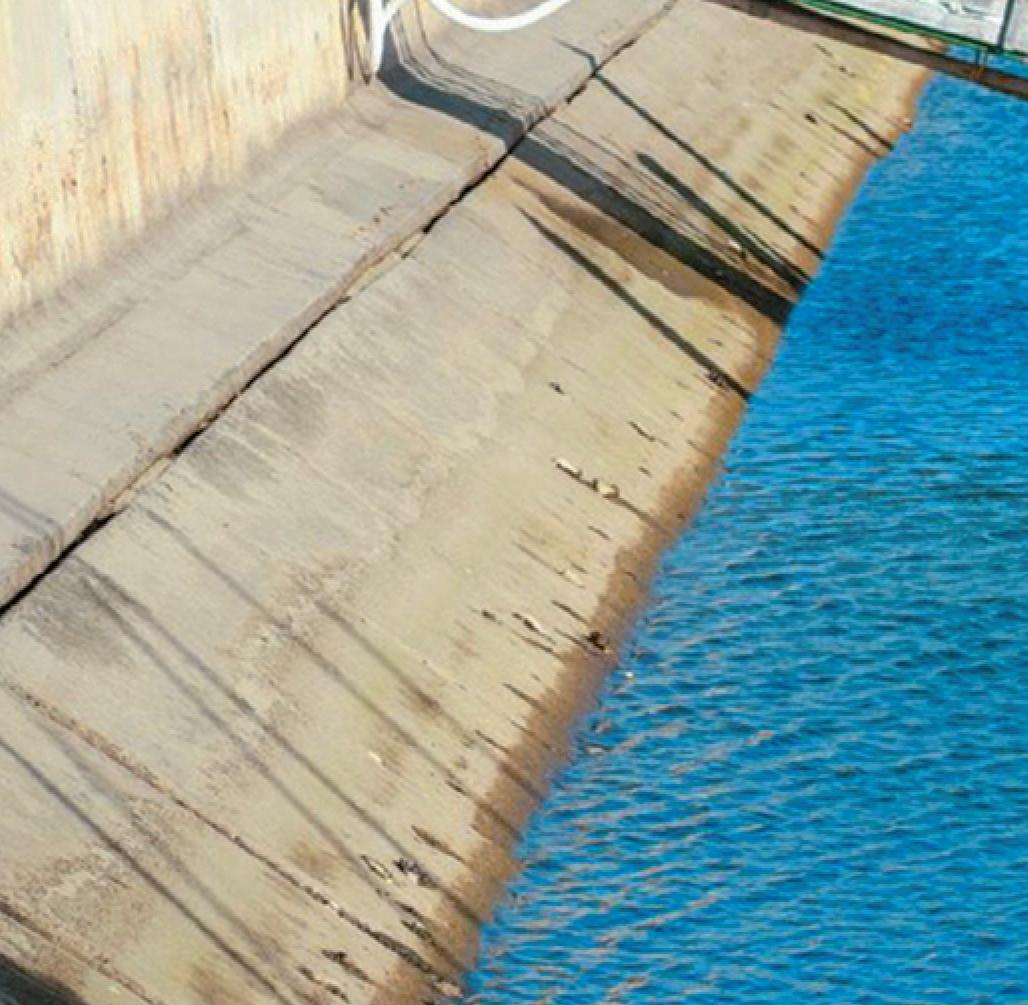 Thrasher by me by David P - Issuu