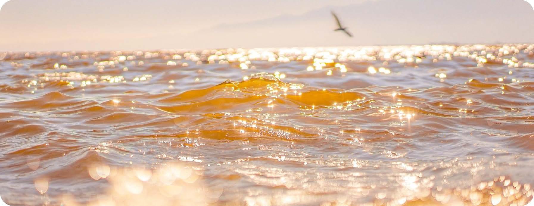 graphic design portfolio by Sarah Abi assi - Issuu