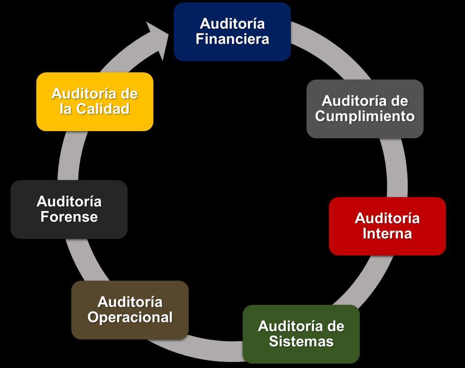 Auditoría Operativa Fundamentos by Jorge L. Porras H. - Issuu