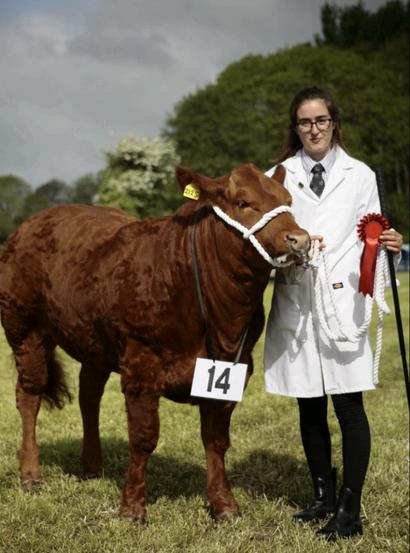 SFYFC Advertising by Somersetyfc - Issuu