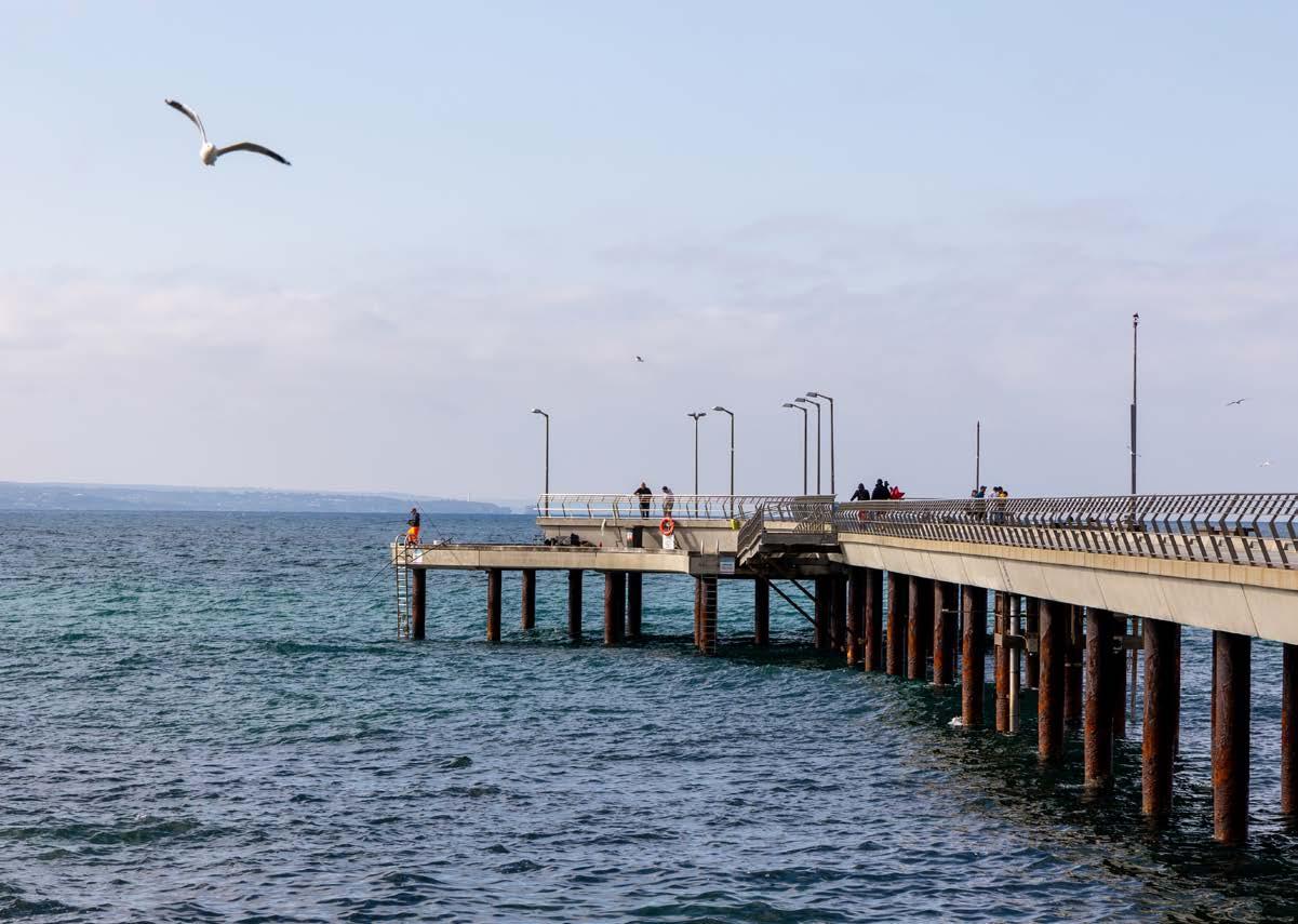 2024 Lorne Pier User Survey - Engagement Summary Report by ...