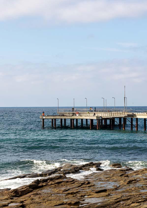 2024 Lorne Pier User Survey - Engagement Summary Report by ...