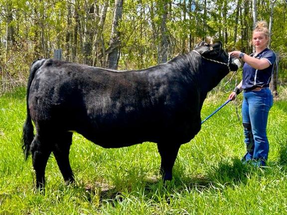 2024 Tisdale 4-H Beef Club Steer Catalogue by Tisdale 4-H Beef Club - Issuu
