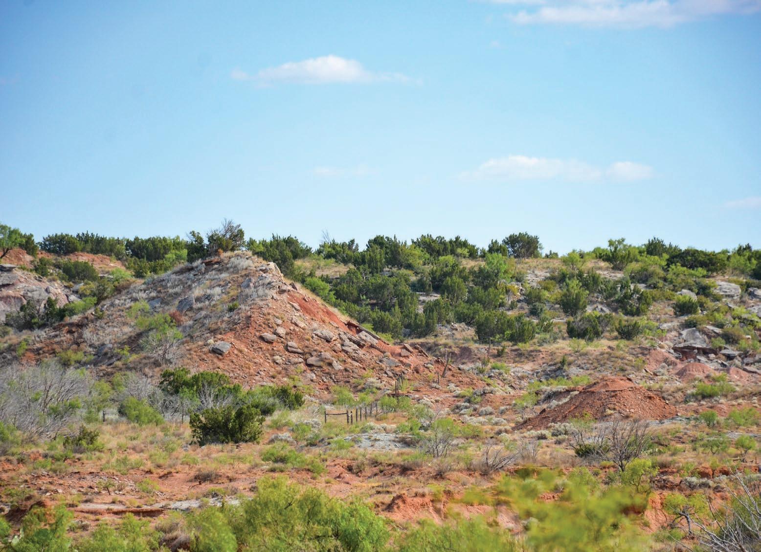 Borden County Guilliams Ranch | Gail, Texas by csmandson - Issuu