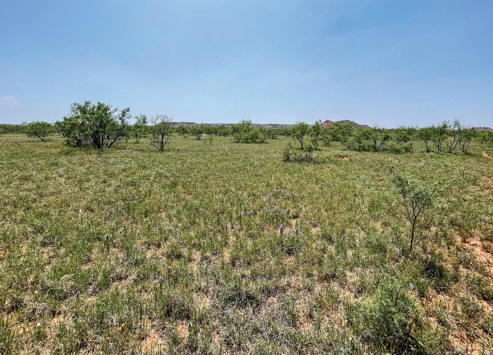 Borden County Guilliams Ranch | Gail, Texas by csmandson - Issuu