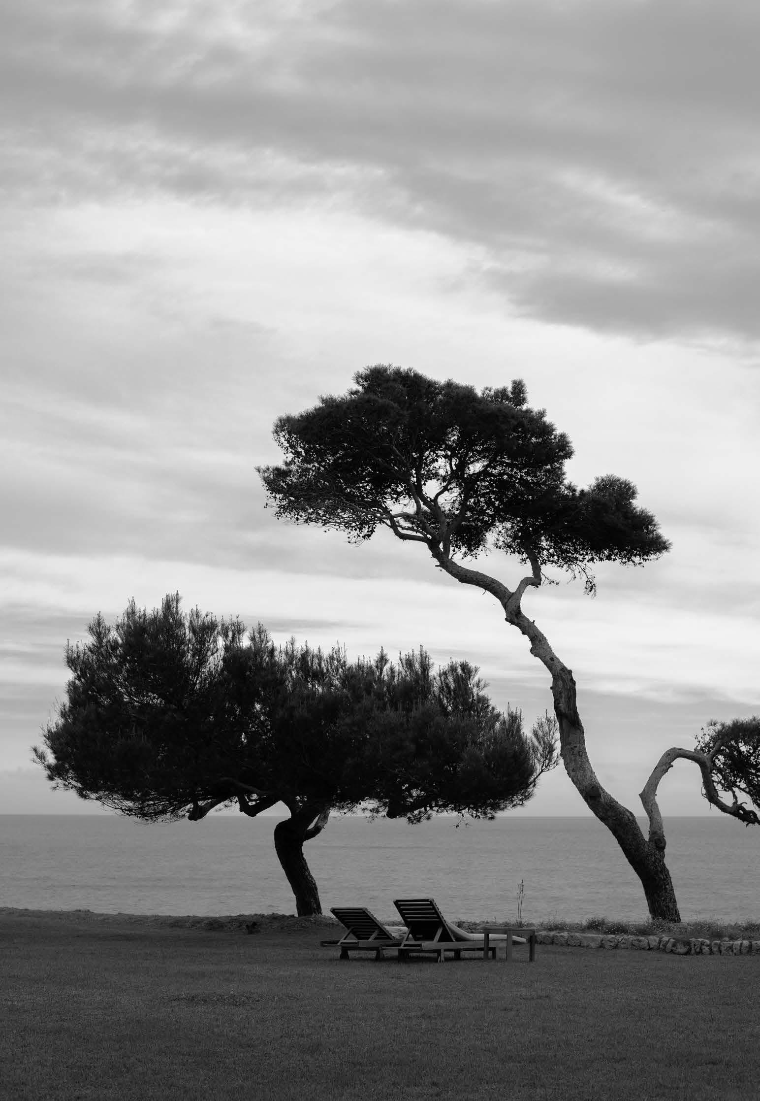 Nokte Collections 2024 by alvarezgroup - Issuu