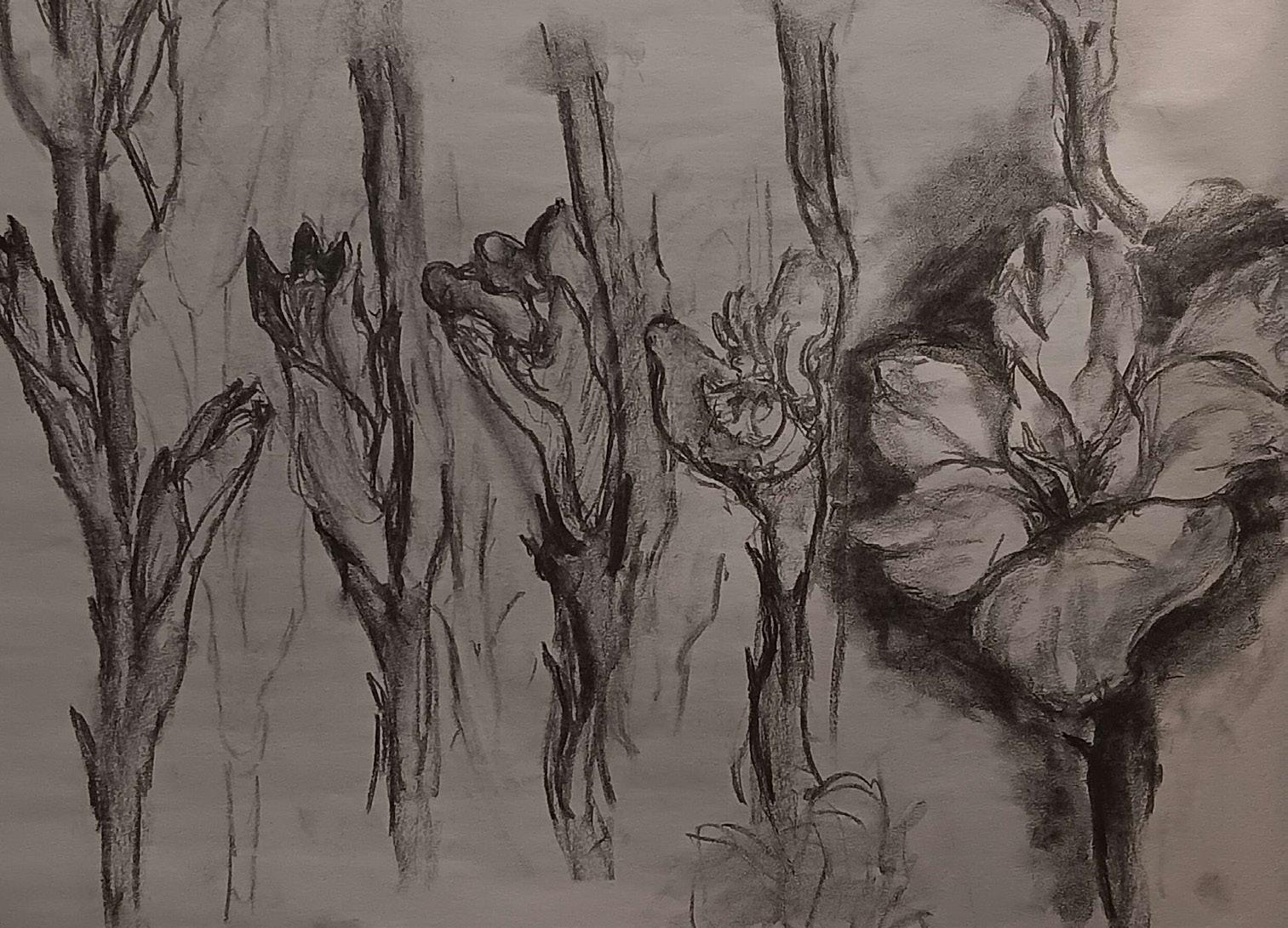 Portfolio 01 [2021-2024] by samara.bennett - Issuu