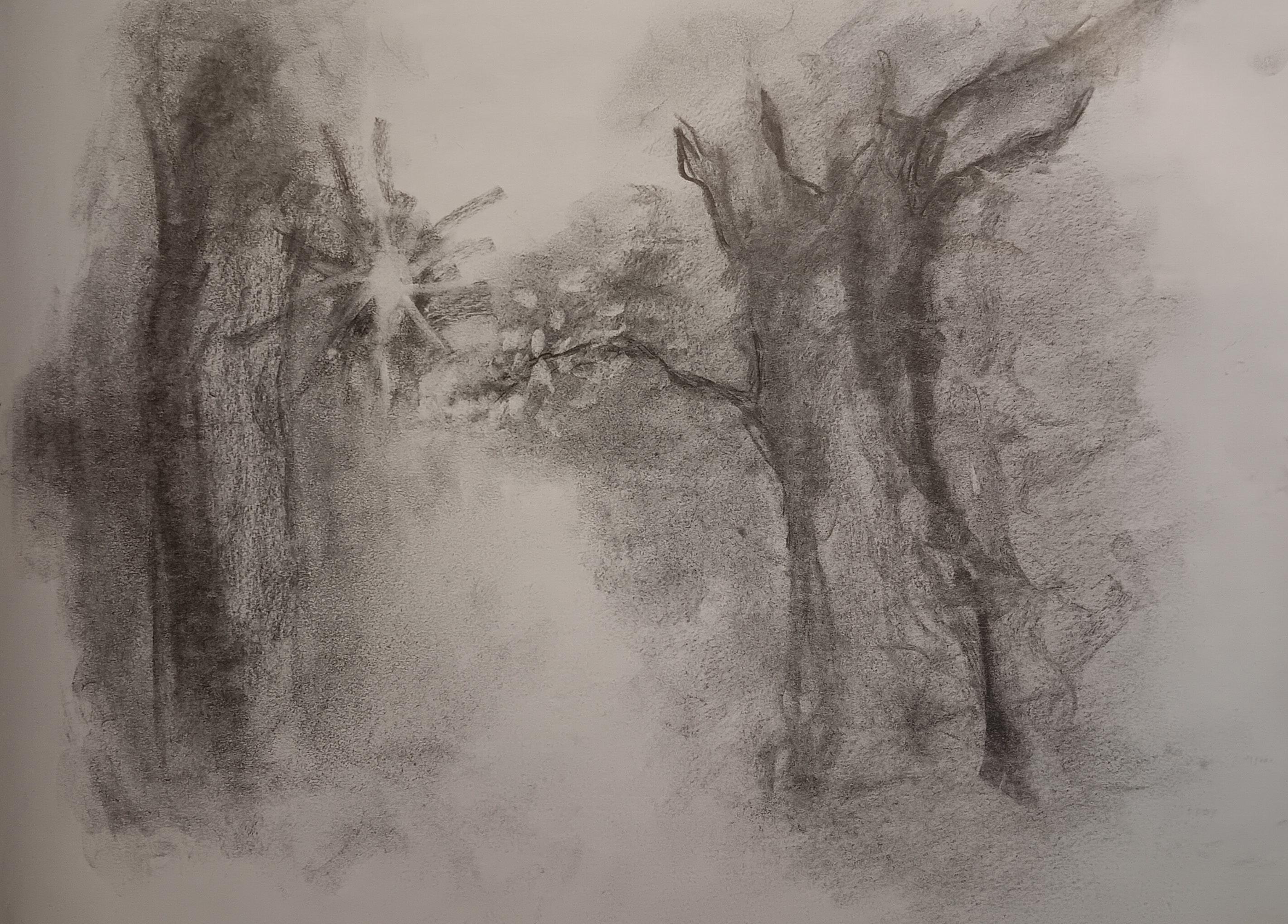 Portfolio 01 [2021-2024] by samara.bennett - Issuu