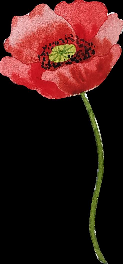 The impacts of World War 1 - Constance Adams final by cadam227 - Issuu