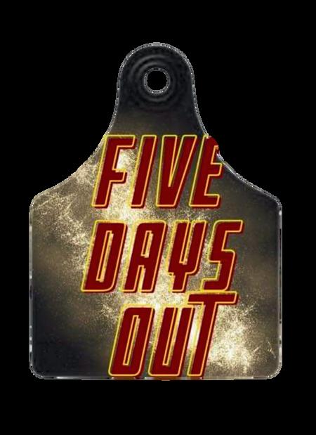 Ringside June 24 by Simplicity Creative - Issuu