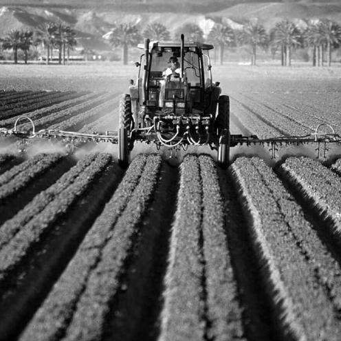 The Hydroponic Gardens by Thomas Cundy - Issuu