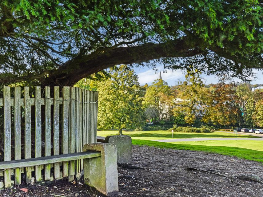 Lyndhurst Park Brochure by Fells Gulliver Team Lyndhurst - Issuu