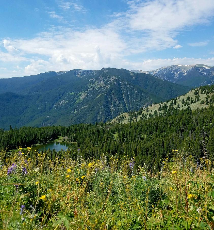 Policy from BorderLands and Waters Educational Materials by ihubug - Issuu