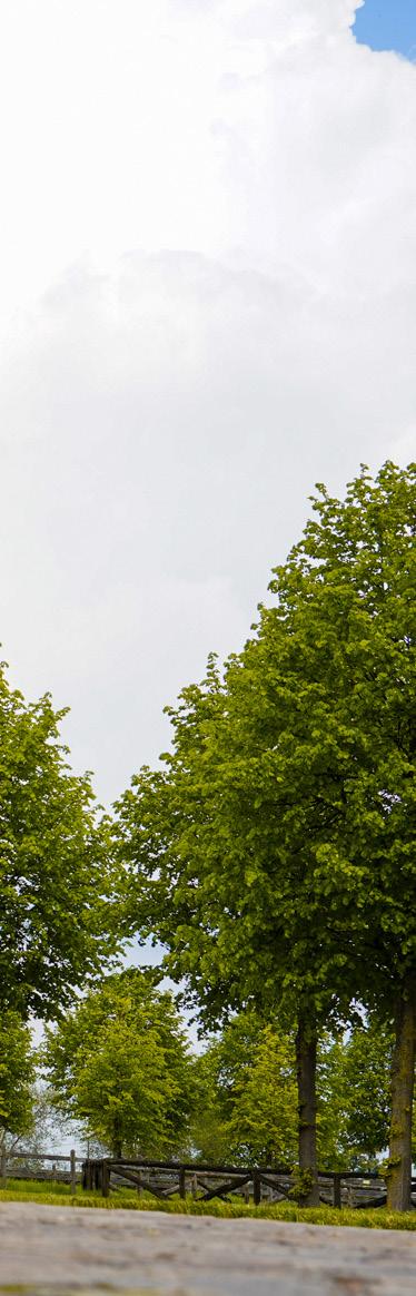 STX Motorhomes Brochure 2024 by Stephex - Issuu