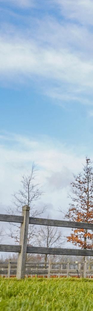 STX Motorhomes Brochure 2024 by Stephex - Issuu