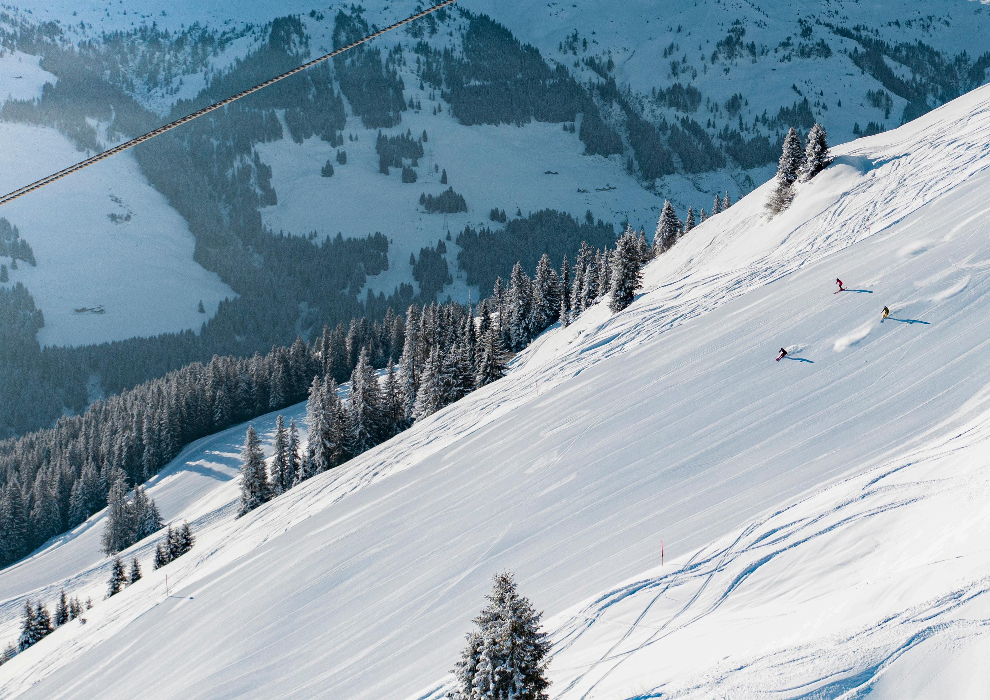 Welove2ski Media Pack 2024/25 by fall-line-skiing - Issuu