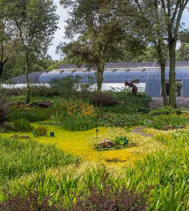 Portafolio Paisaje_MT by Maribel Aguilar - Issuu