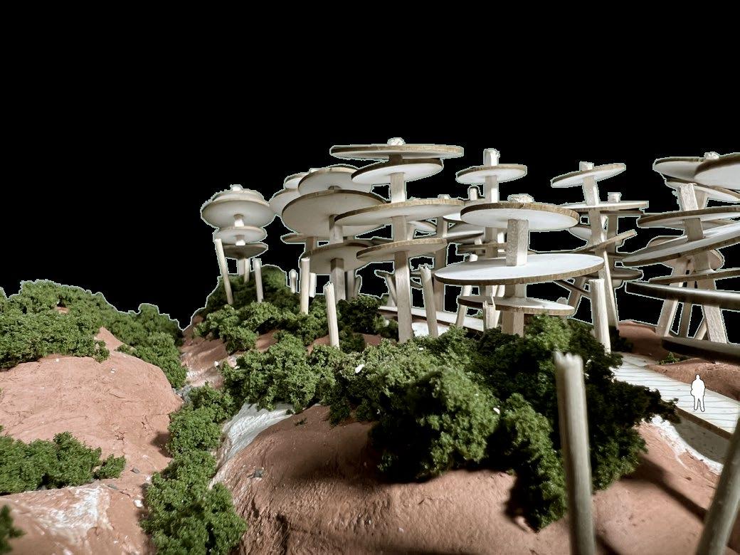 Weiyong Zhang Selected Work 2022-2024 | Harvard GSD Landscape Architecture MLA by Bart Weiyong ...