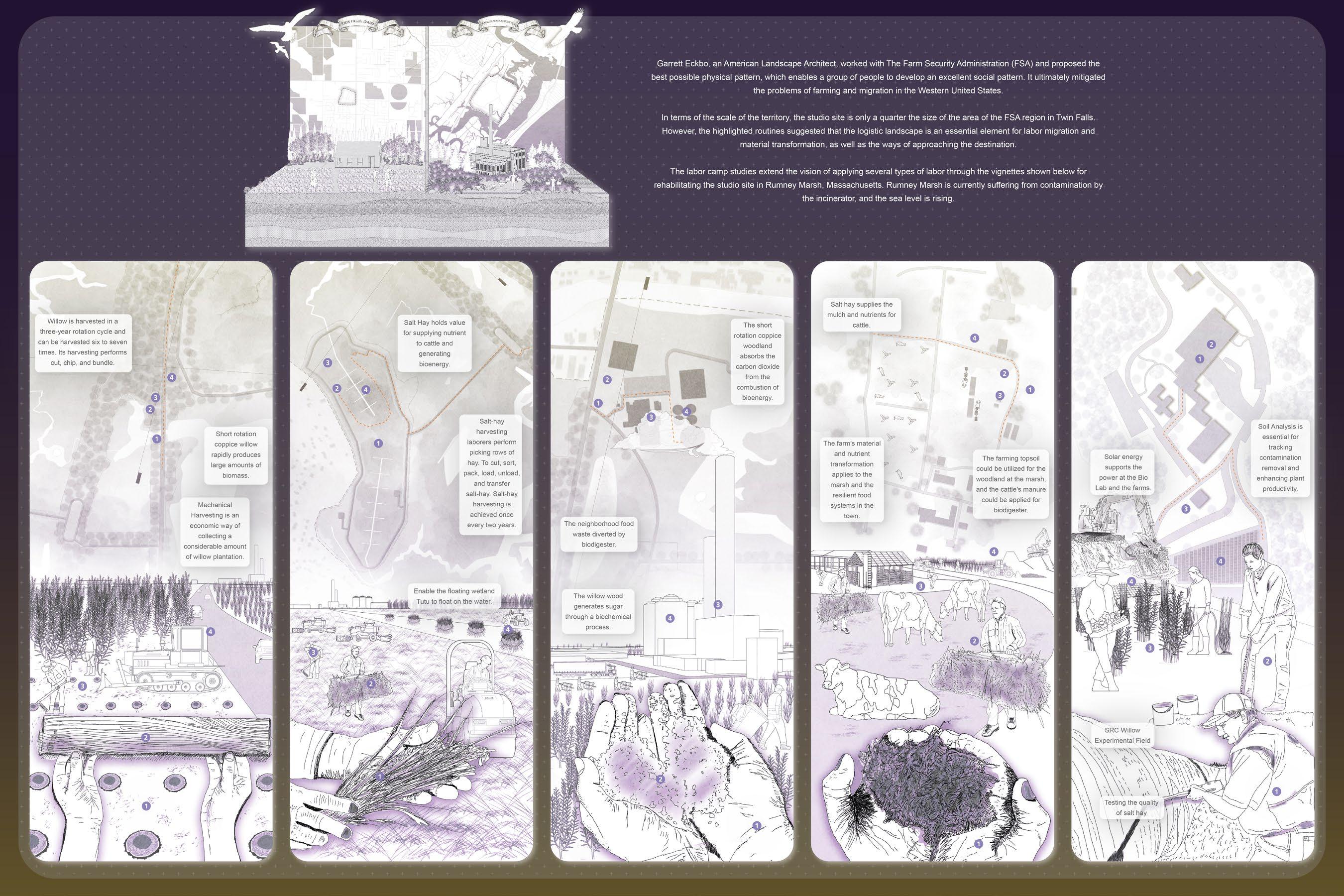 Weiyong Zhang Selected Work 2022-2024 | Harvard GSD Landscape ...
