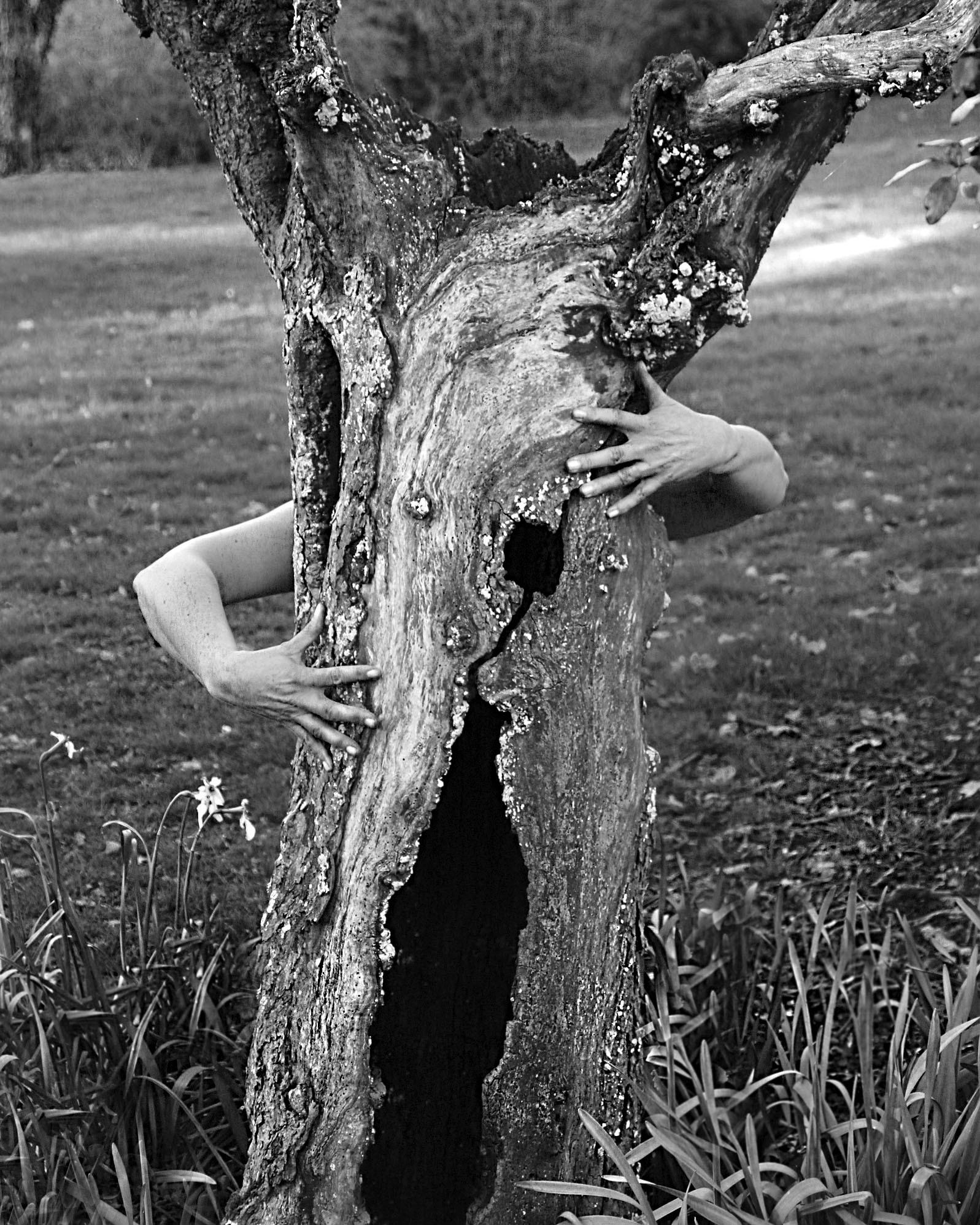 Francesca Stevens by hillsroadphotographydept - Issuu