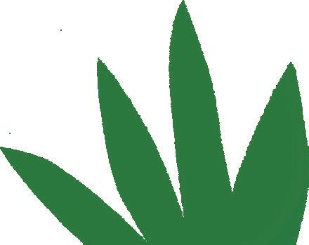 Sunbridge Brochure by Tavistock Development Company - Issuu