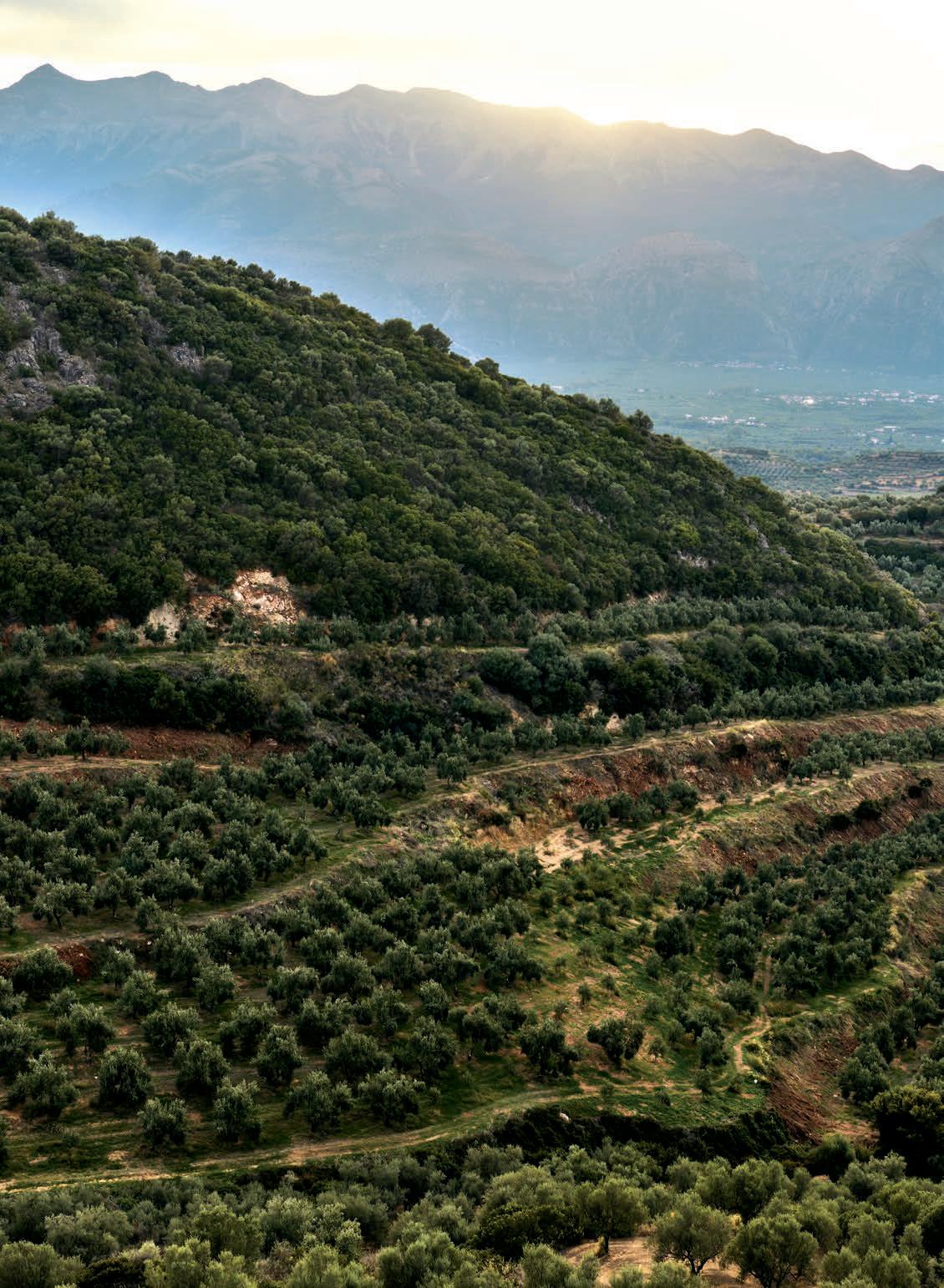 FOODMatch Product Catalog by FOODMatch - Issuu