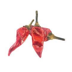 FOODMatch Product Catalog by FOODMatch - Issuu